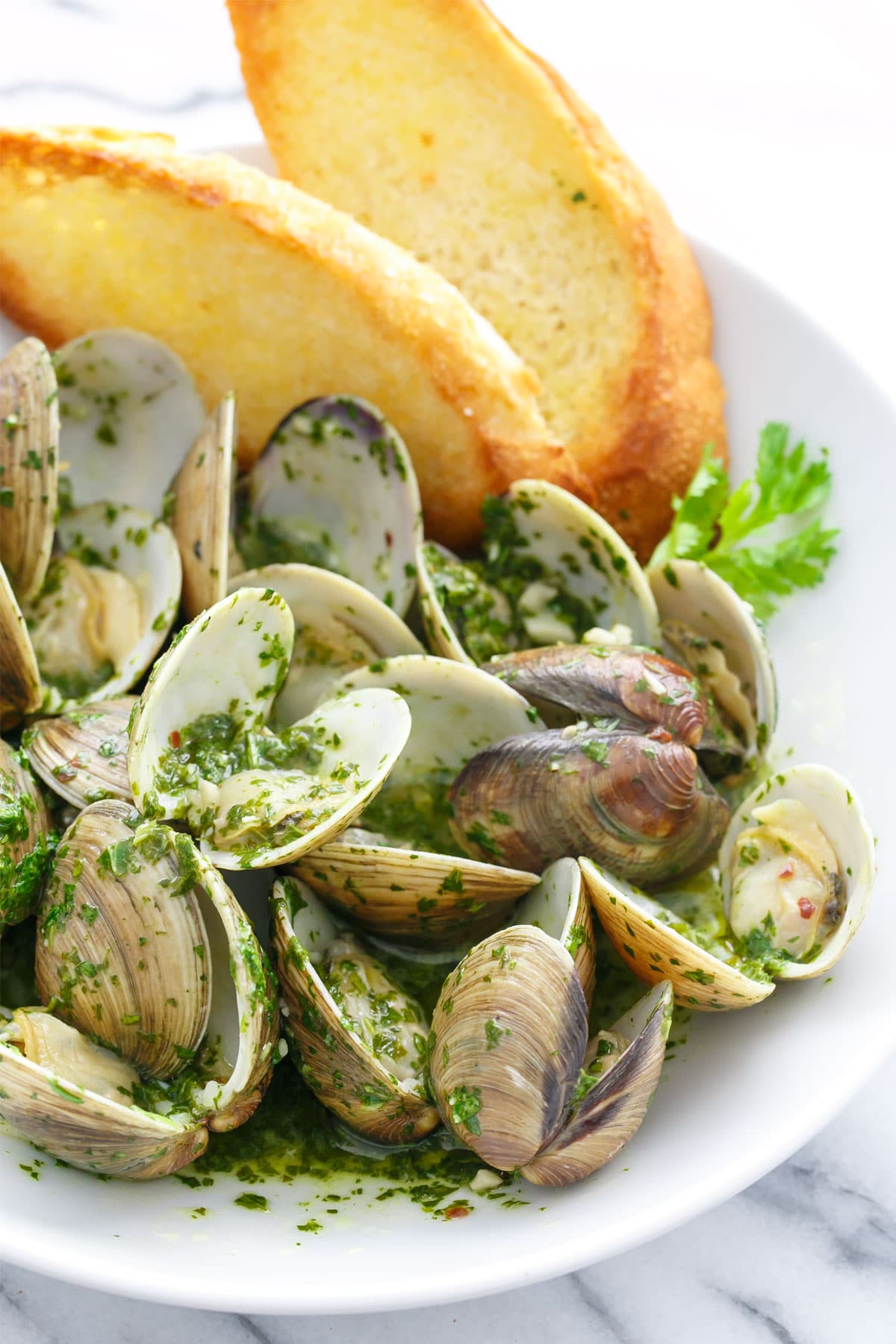 Mojo Clams (Steamed Clams with Green Mojo Sauce) | Love and Olive Oil