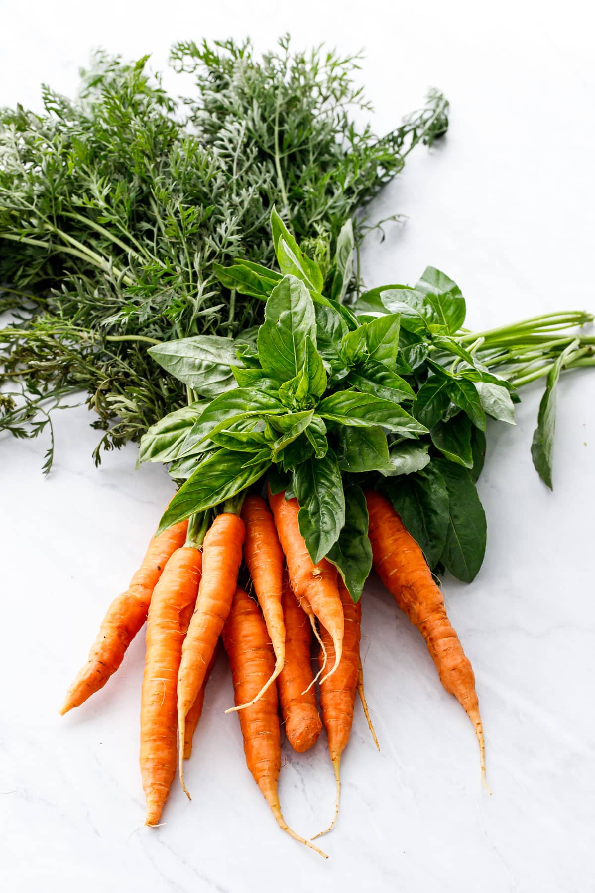 Roasted Carrots with Basil & Carrot Top Pesto | Love and Olive Oil