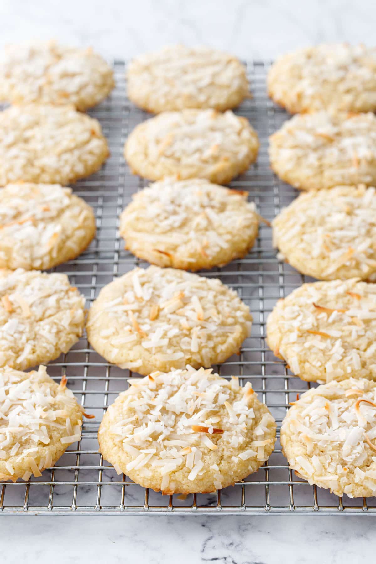 Toasted Coconut Sugar Cookies | Love and Olive Oil